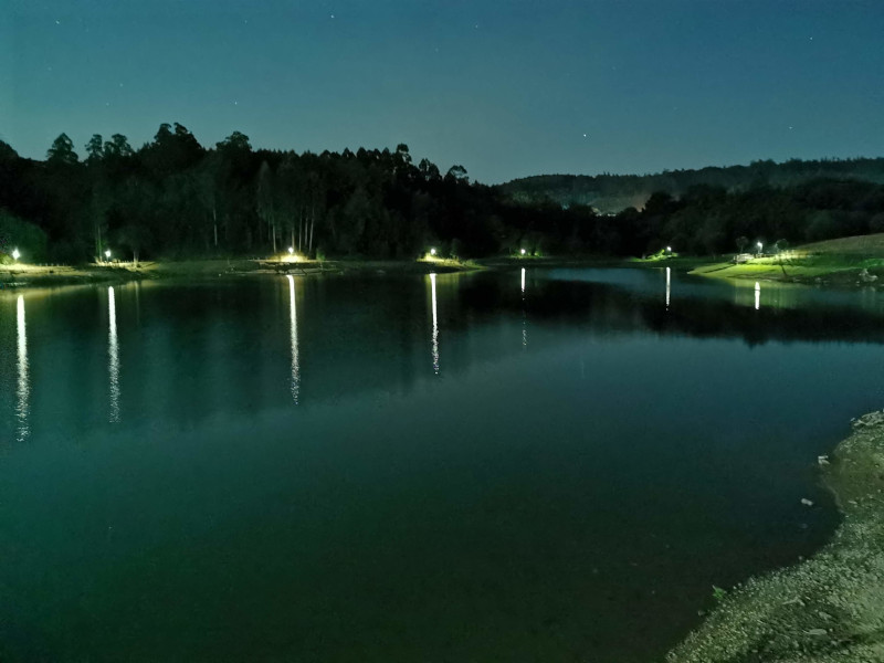 Beche bajo mínimos históricos | Folgoso
