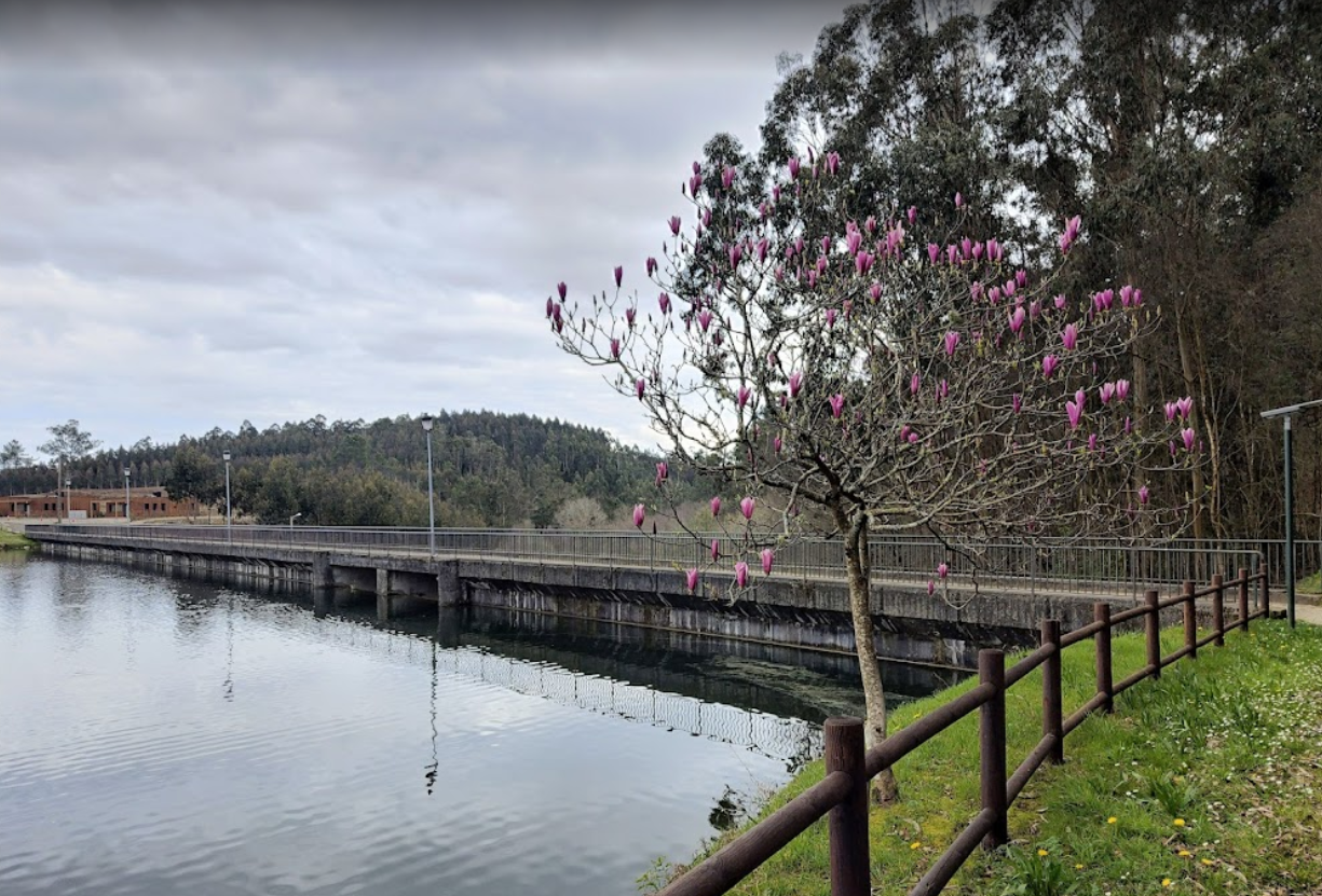El Plan urbanístico prevé proteger el entorno de Beche | Folgoso